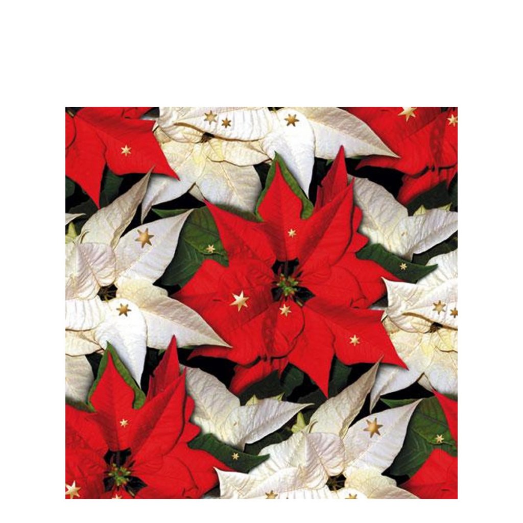 Kaffeservett Jul Julblomma - 24x24 - Hemshopen.se