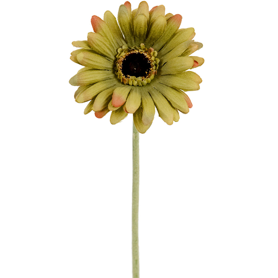 Gerbera Grön - 55 cm - Discontinued - Hemshopen.se