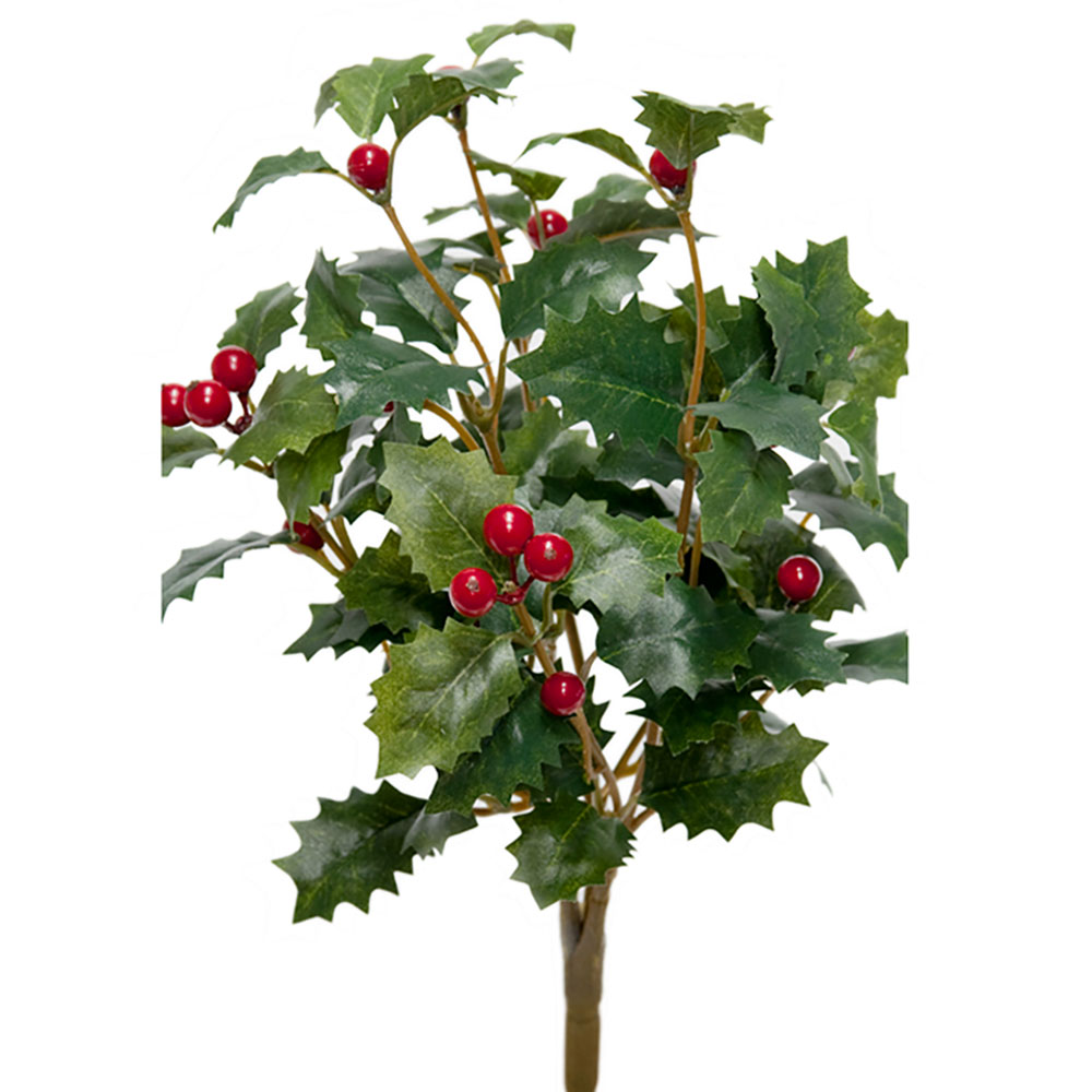 Järnek Kvist - 30 cm - Hemshopen.se